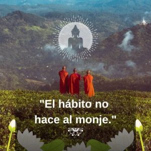 +50 Frases hechas y dichos populares (con su significado)