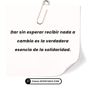 +15 Frases de solidaridad: citas sobre la unión el apoyo mutuo