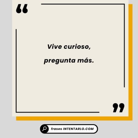 +22 Frases de curiosidad: el arte de preguntar y aprender