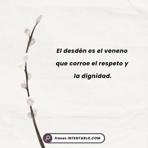 26 Frases de desdén: el impacto del desprecio