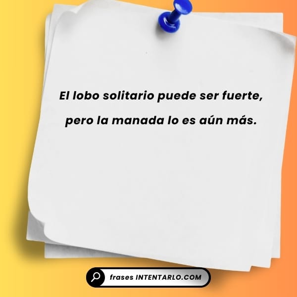 Frases de unidad que exploran la verdadera fuerza en la cohesión