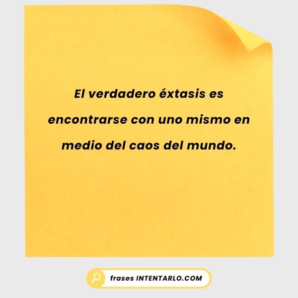 Frases de éxtasis sobre el lado del entusiasmo desenfrenado